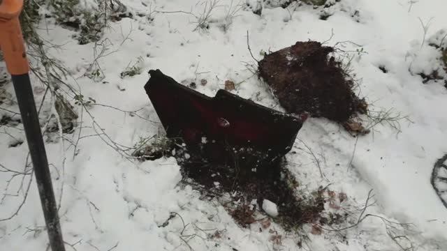 Проверка капканов на куницу. 26 ноября.