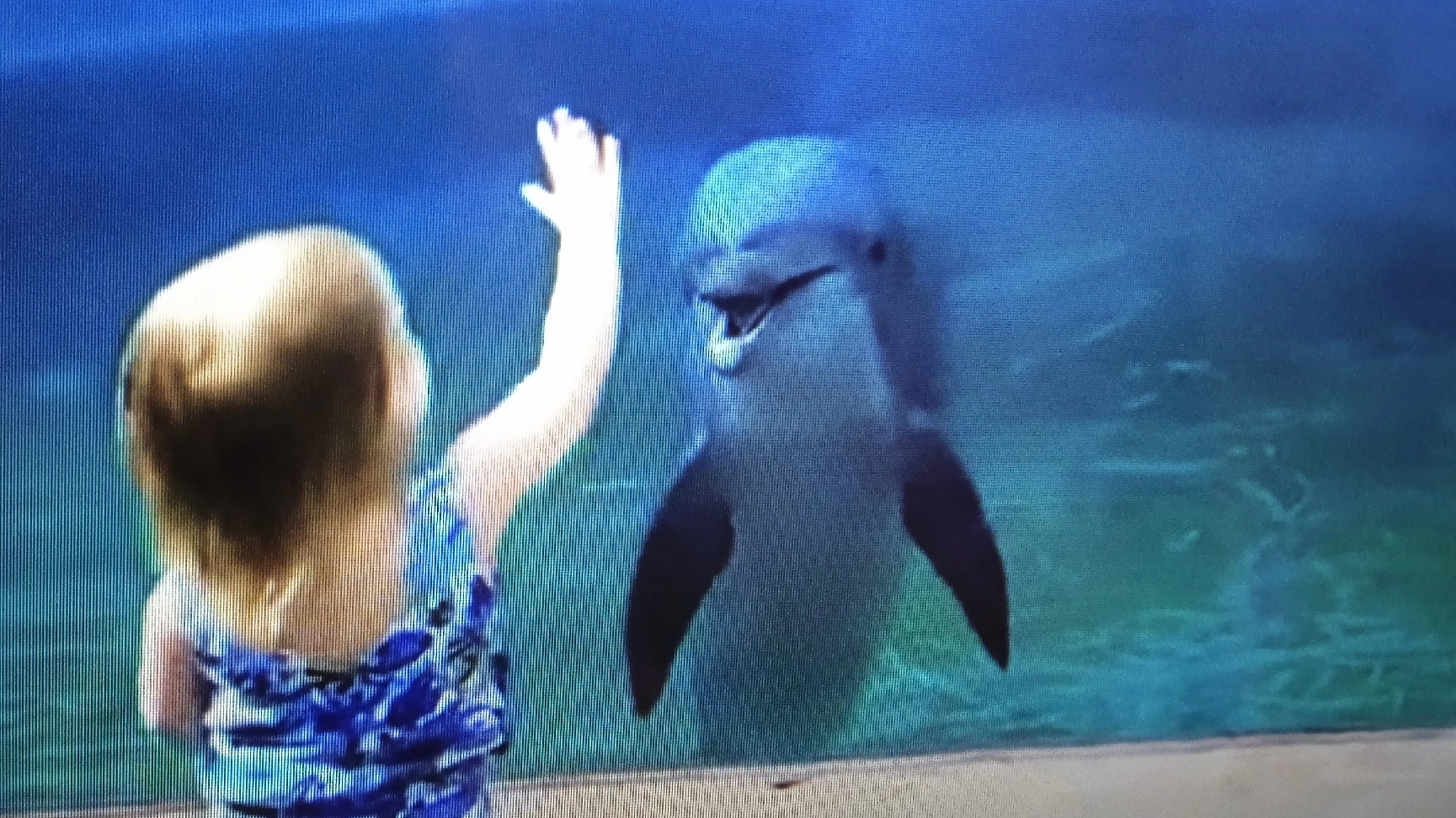 НА НАШЕЙ ПРЕКРАСНОЙ ПЛАНЕТЕ