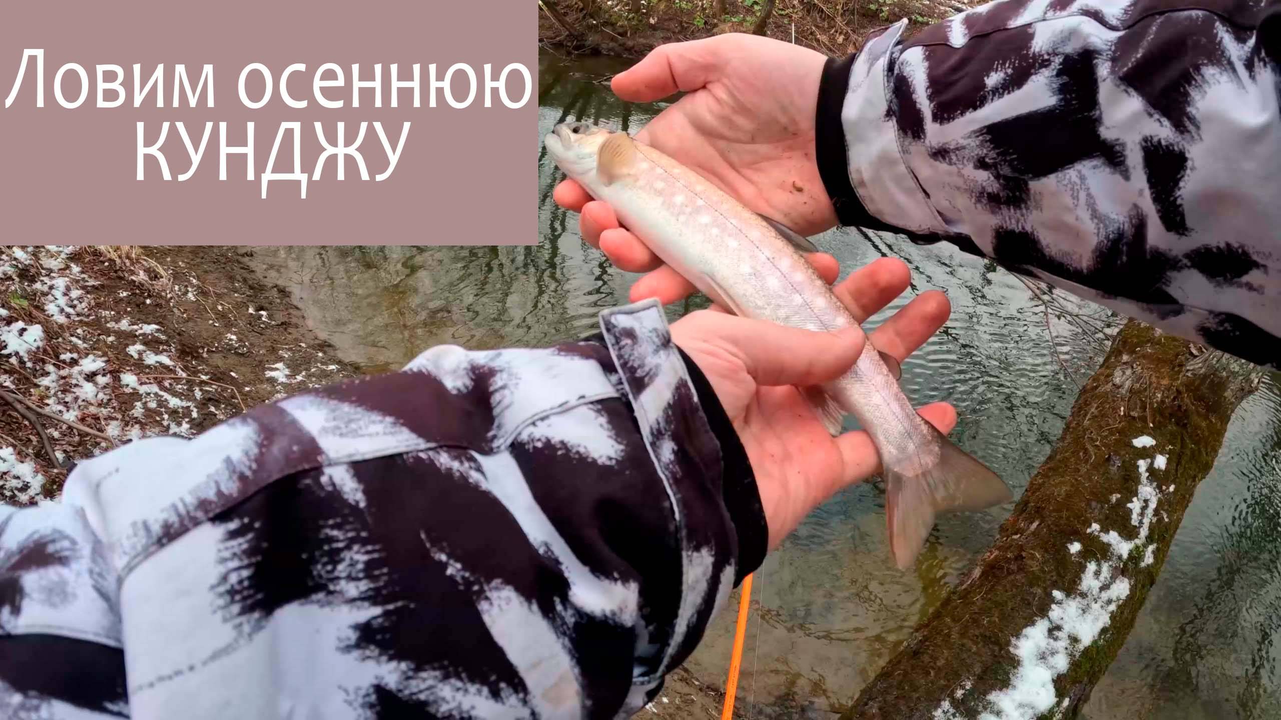 Ловим осеннюю кунджу. Рыбалка Сахалин. #рыбалка #сахалин #кунджа