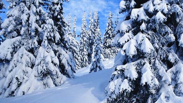 Татьянин день  Очень красивый ролик