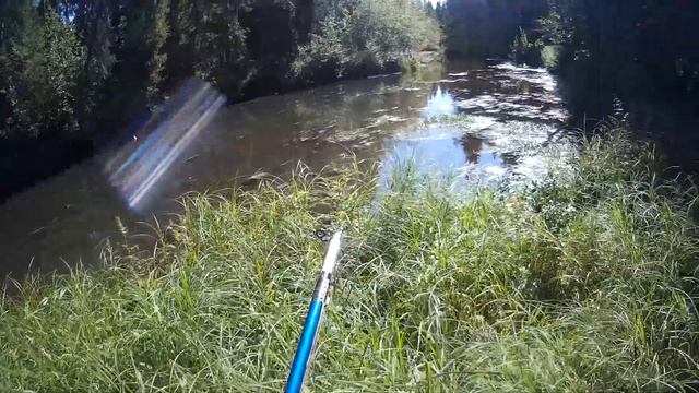 на рыбалку к избе.проверка речки на наличие хариуса