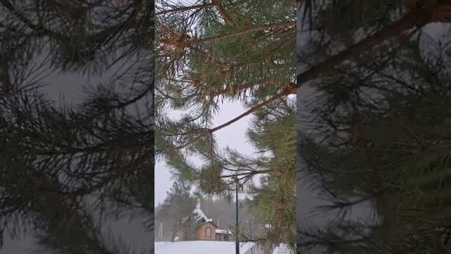 Небольшая видеозарисовка паломников нашей обители о нашем монастыре