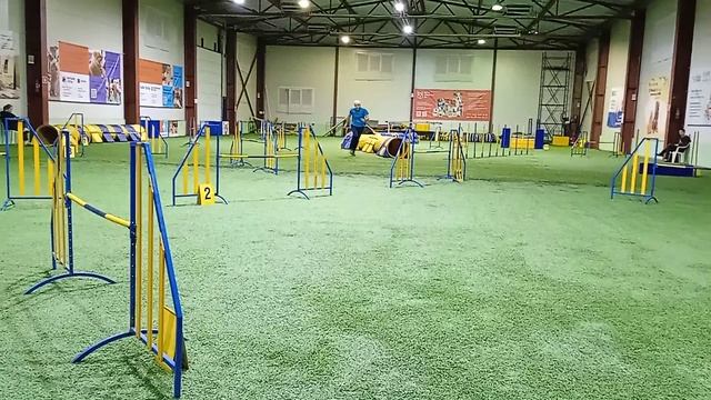 День Рождения ДогсХолл, 21.12.24 - Джампинг 3