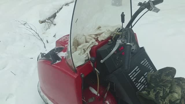 Проверка капканов. 31 декабря.