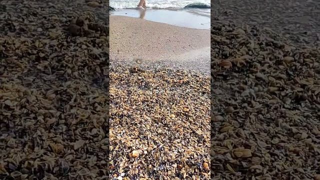 Городской пляж в Дербенте #дагестан