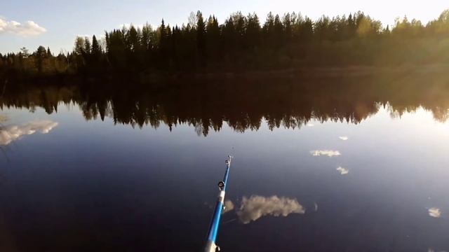 Первая летняя рыбалка в 2020 году