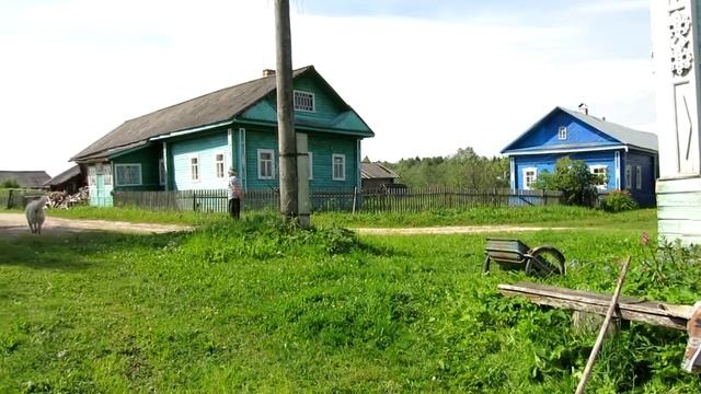 Кулиган-ТВ (3)