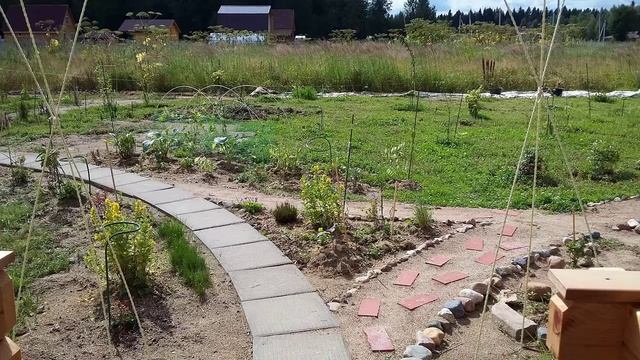 I год. уДачный квест