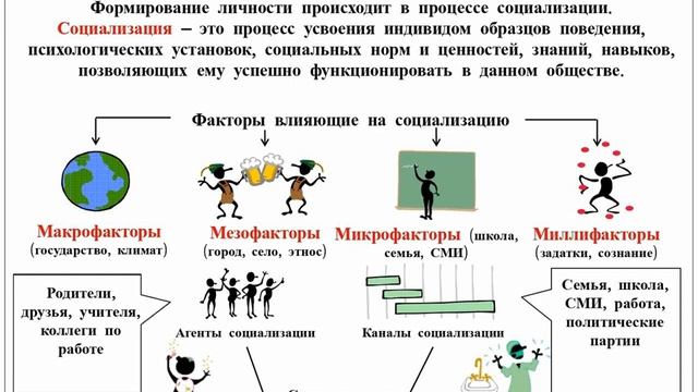 3.  Социализация