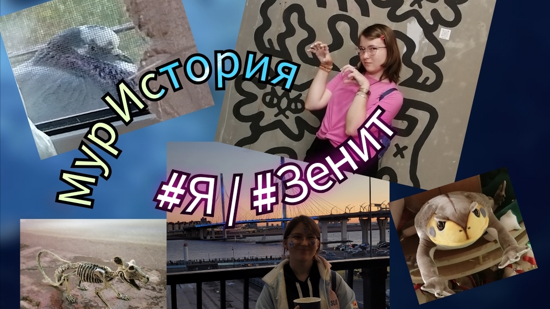 Мур История: #я / #Зенит