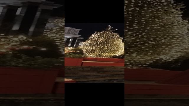 наряженные Ёлки🎄