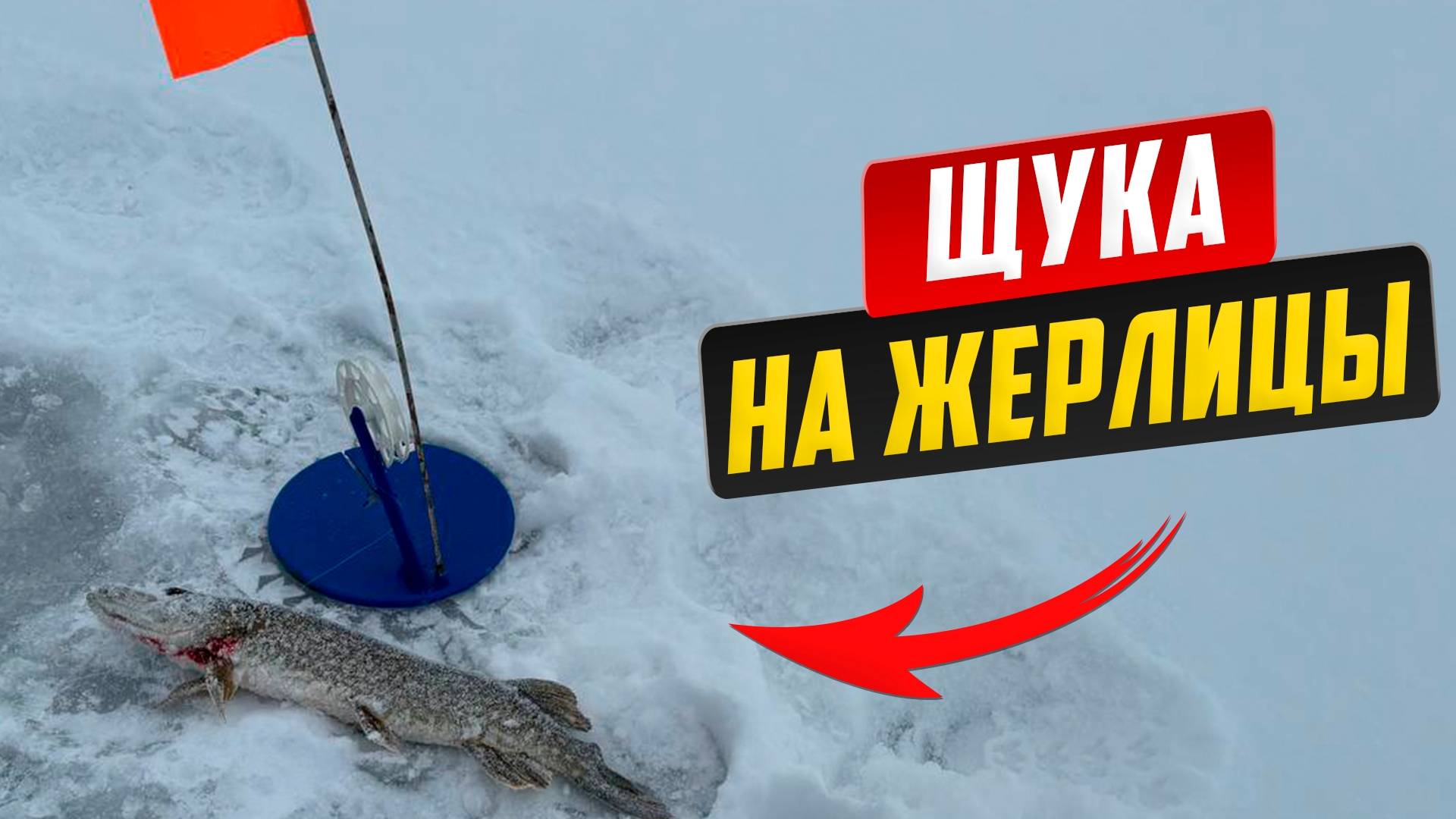 Рыбалка на жерлицы. Охота на щуку по первому льду.