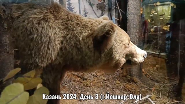 Казань 2024. День 3