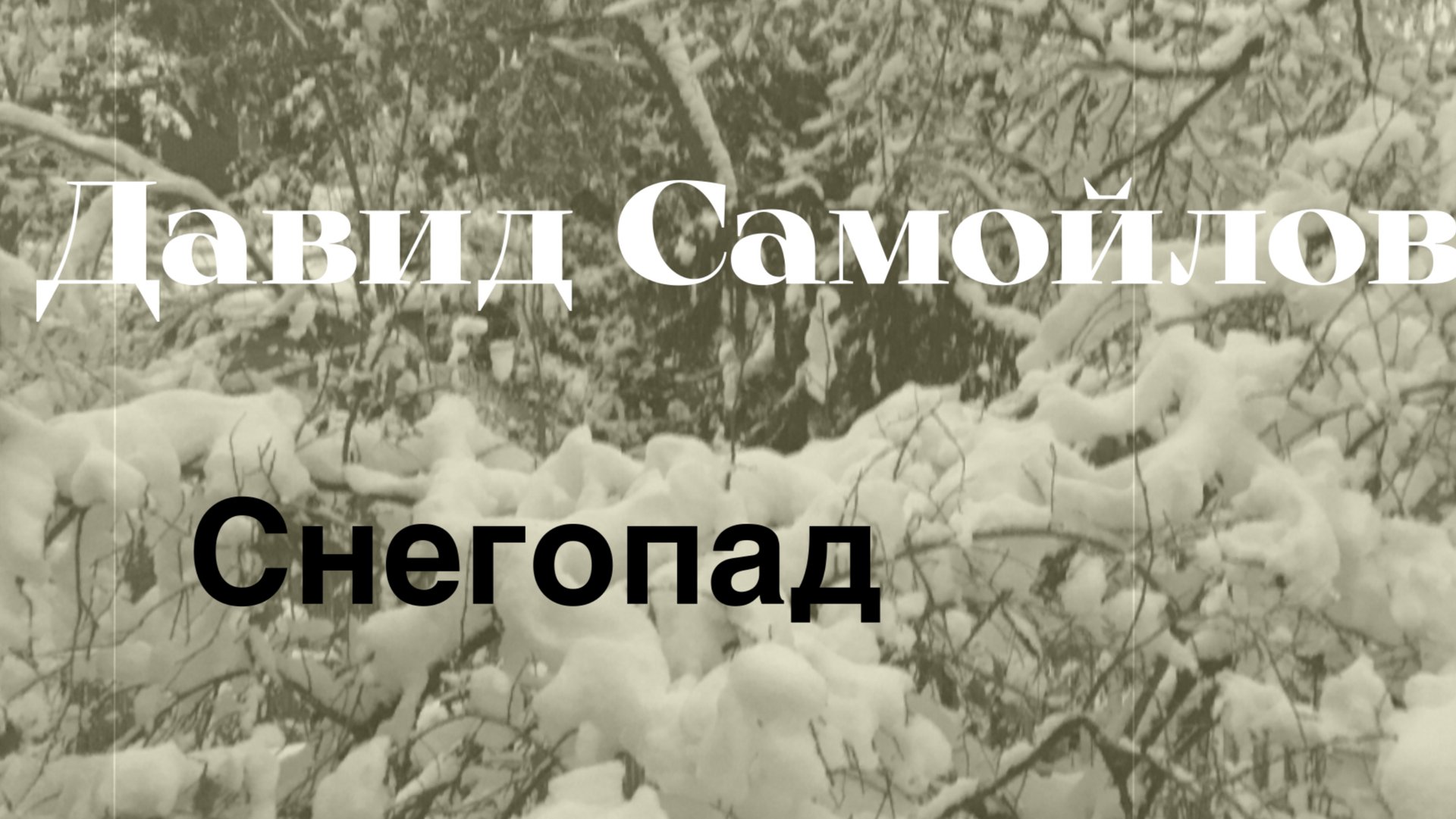 Давид Самойлов.Снегопад.