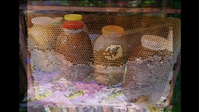 Как я получаю мед_211224