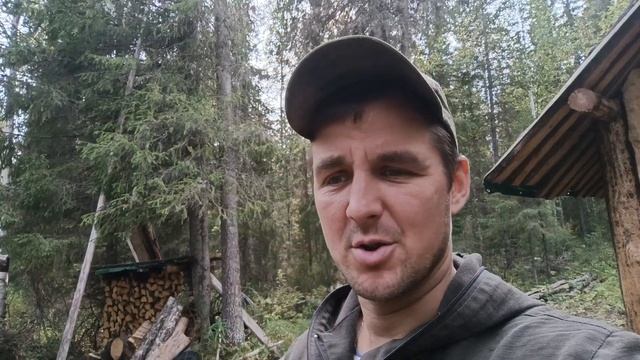 к избе с маленьким помощником ,цементирование,сбор груздей