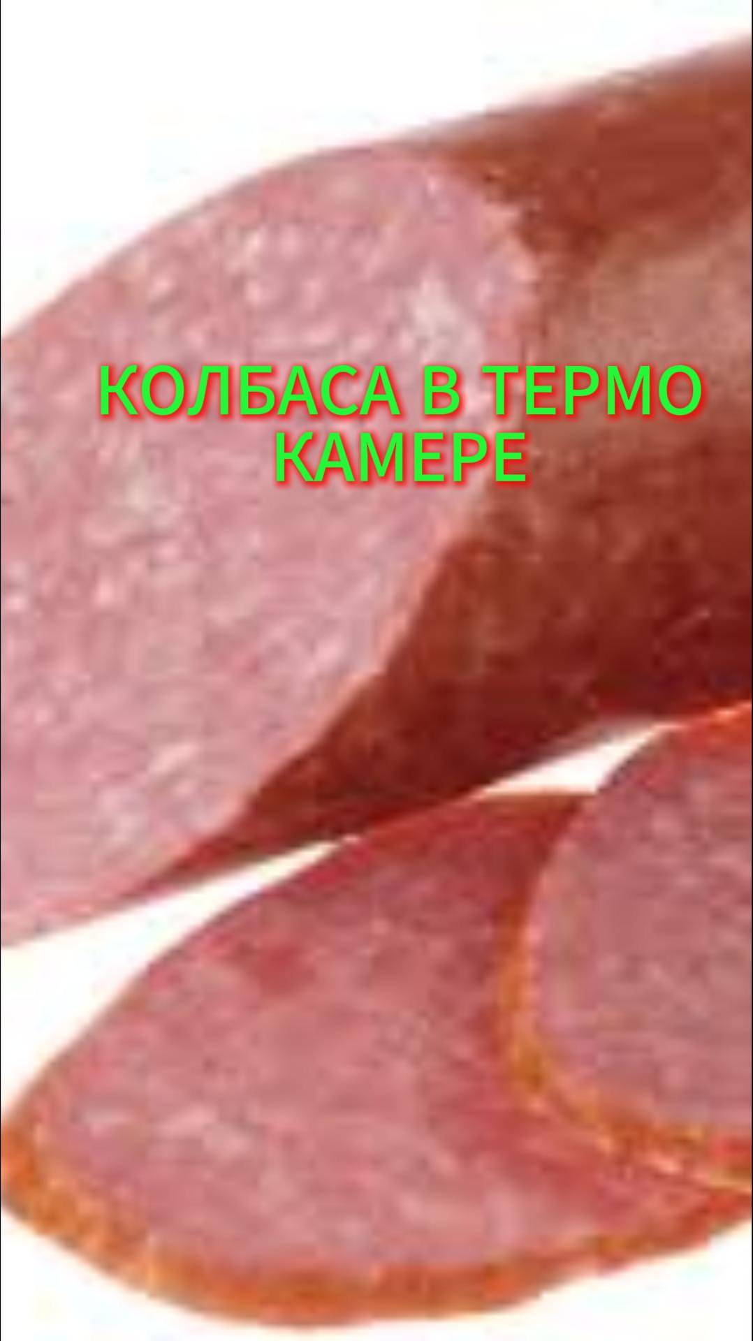 ▶️ДОМАШНИЙ СЕРВЕЛАТ В ТЕРМОКАМЕРЕ🔥