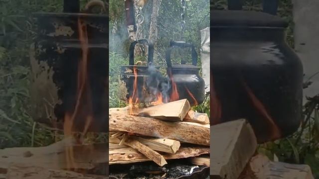 природа, костёр и ничего лишнего