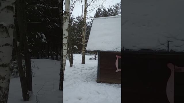 В Миленки в гости