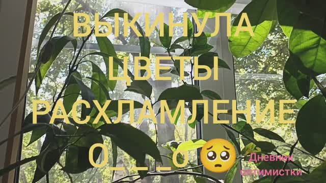 Цветы выкинула, расхламление на окнах, у дома хрен выживает еле-еле