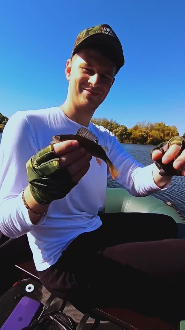 Красота ⭐ Деревенский пруд | Ловля #щуки и #окуня  #shorts #fishing