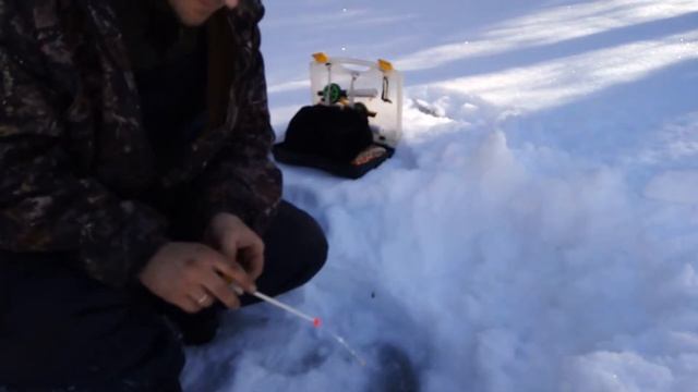 К избушке ранним весенним утречком