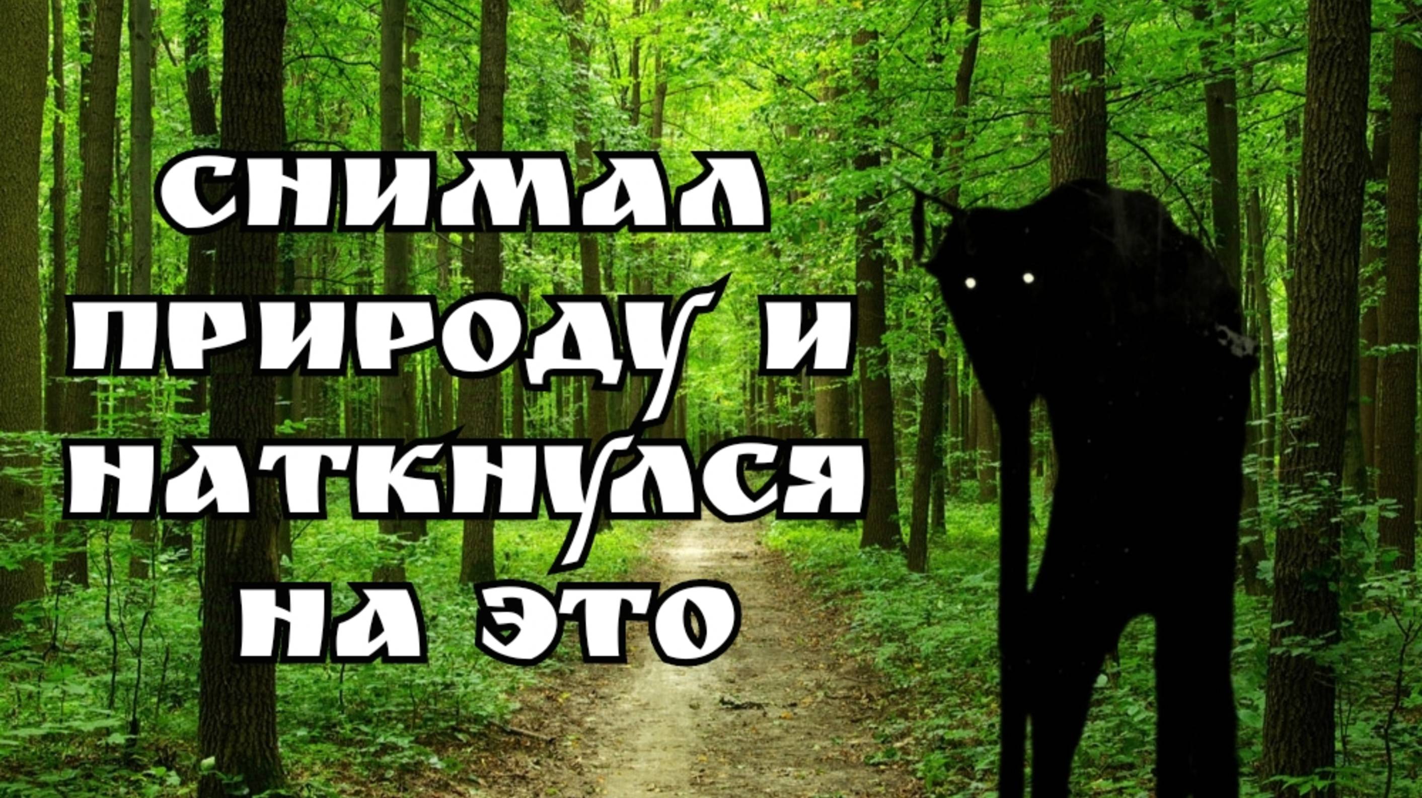 Снимал природу и наткнулся на это...... 😳😳😳