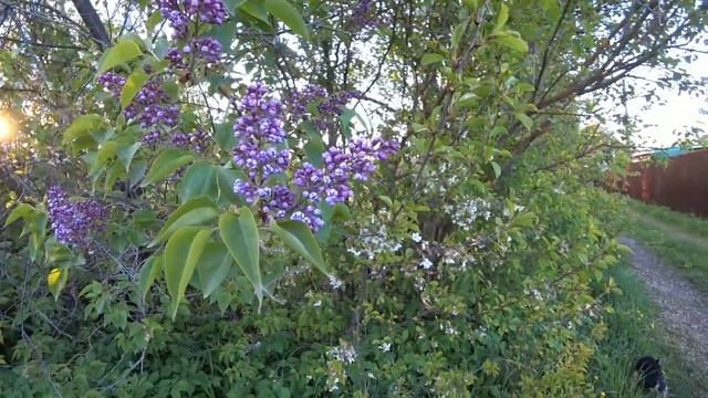 Майские выходные. Сломалась машина, предстоит ремонт. Снег.