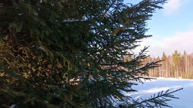 С первым зимним солнышком 🌞!