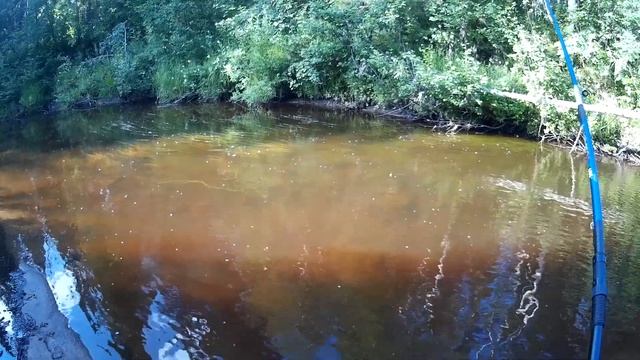 рыбалка.хариус.день первый:знакомство с речкой.первый улов
