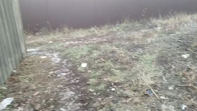 Проверяю ка ему на горизонтальное видео.