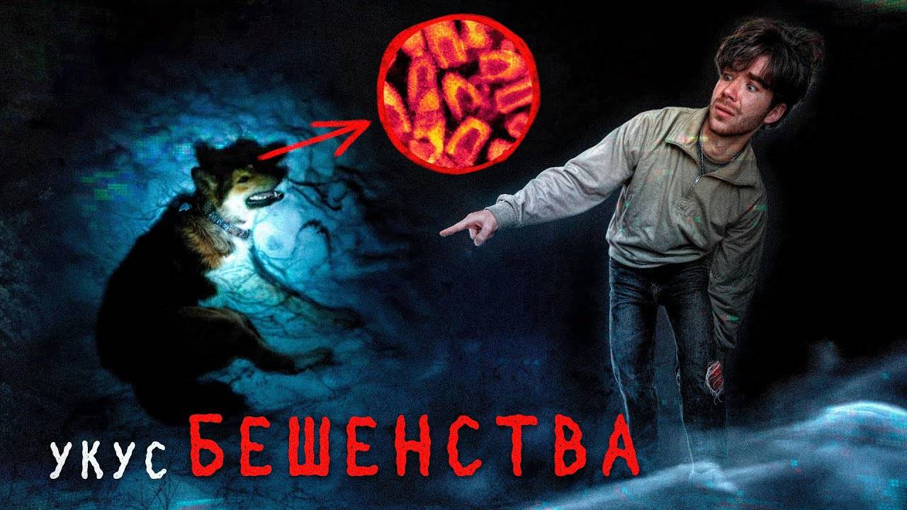 Меня укусил БЕШЕНЫЙ ПËС! Сознание животных | РазМИШления