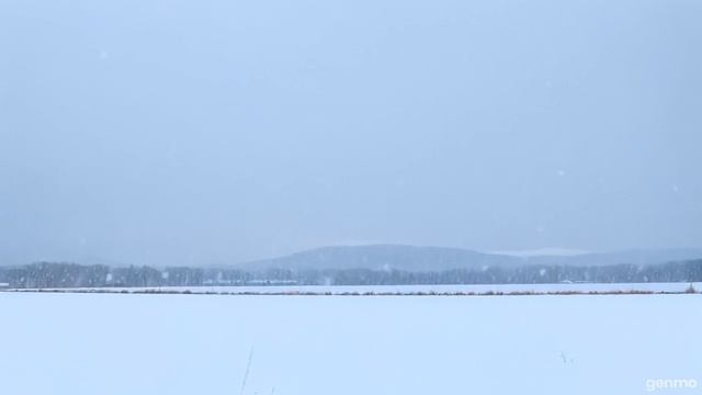 Настоящий снегопад лоу-фай музыка для расслабления, учебы и работы ❄️🎵 Snowing lofi