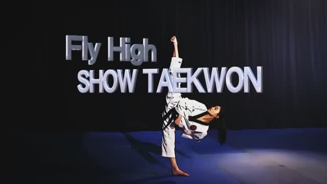 ShowTaekwon