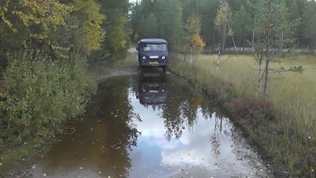 Лес. Охота. Коп...