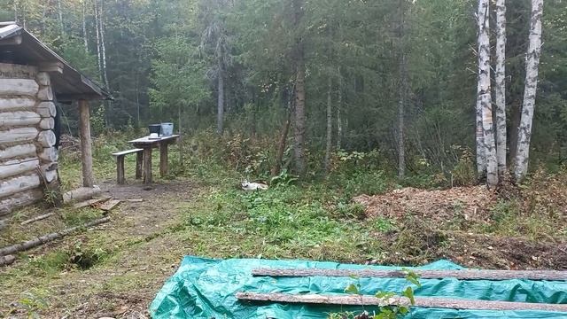 строительство зимовья. продолжение. С Тимохой готовим избу к зиме