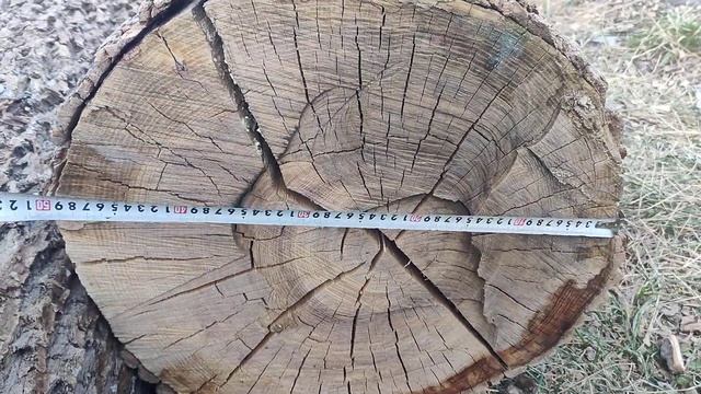 Самодельная ленточная пилорама пилит ясень .