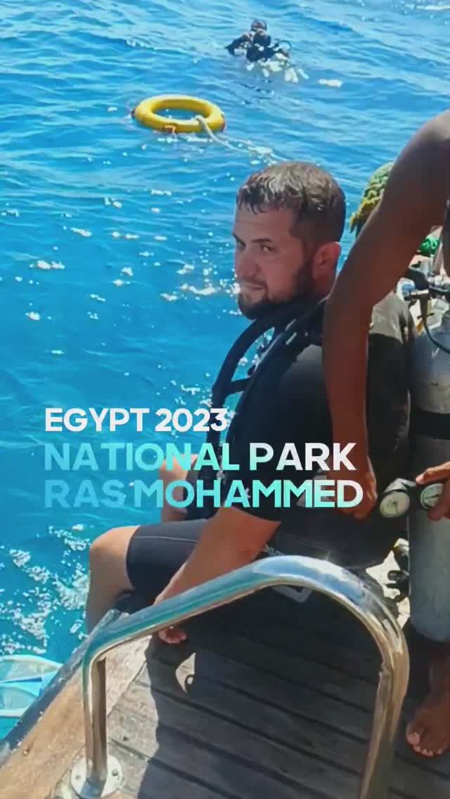 #Египет - Дайвинг или пирамиды? #ШармЭльШейх #РасМохаммед #Shorts