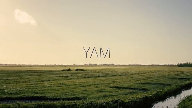 ДЕНЬ 9 из 12 ДНЕЙ СПОКОЙНОЙ Медитации на Повторение Мантры Семян Сердечной чакры ЯМСА