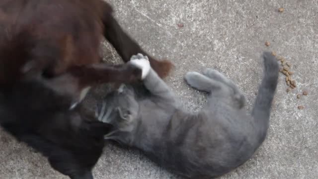 Хватит баловаться !!!