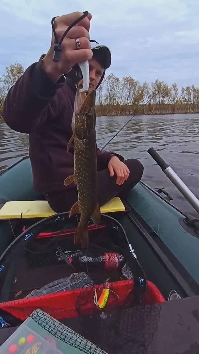 Щучий пруд #shorts #fishing #щука