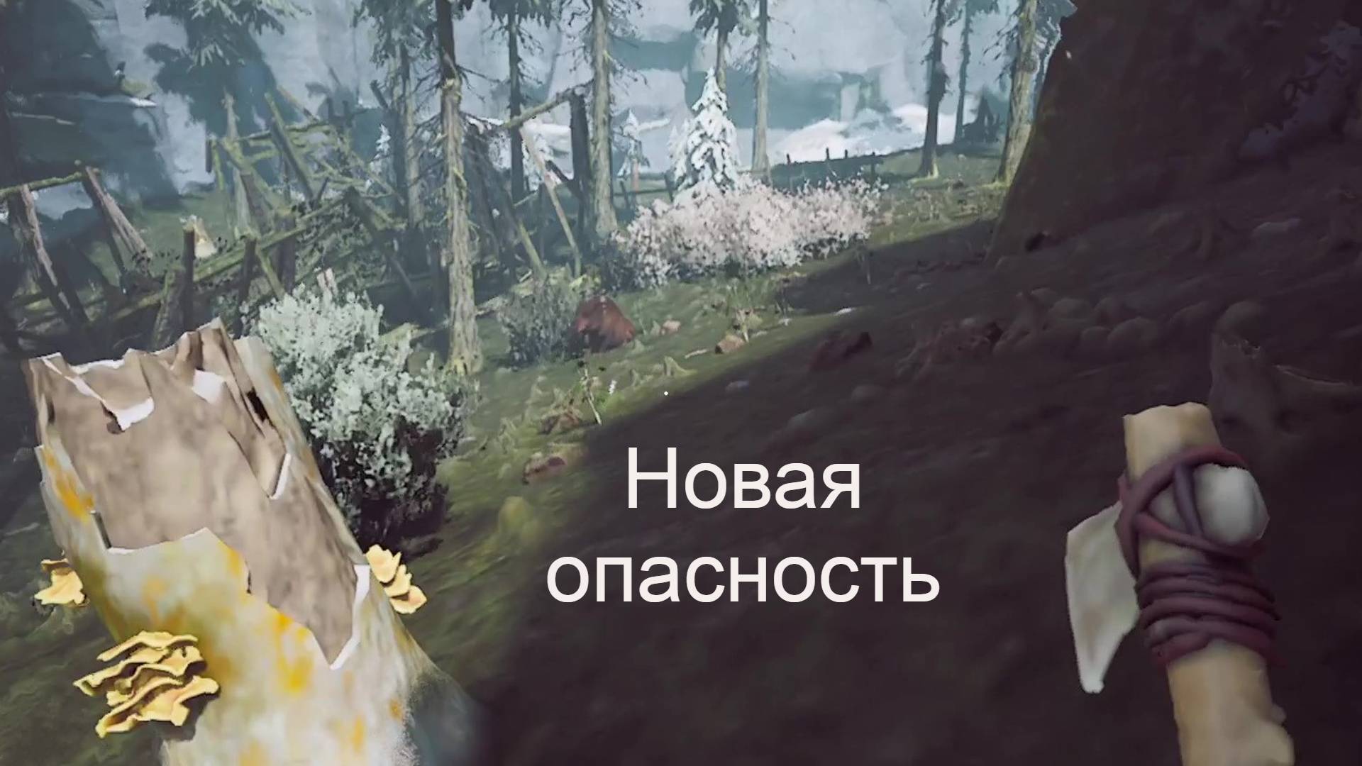 Winter Survival: 2.2 - встреча с кабаном