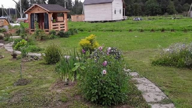 II год. уДачный квест