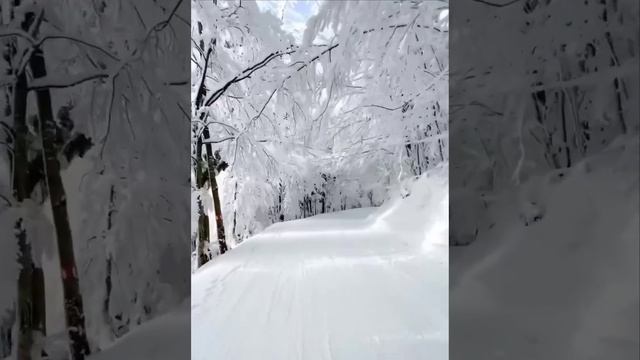 Планета Земля