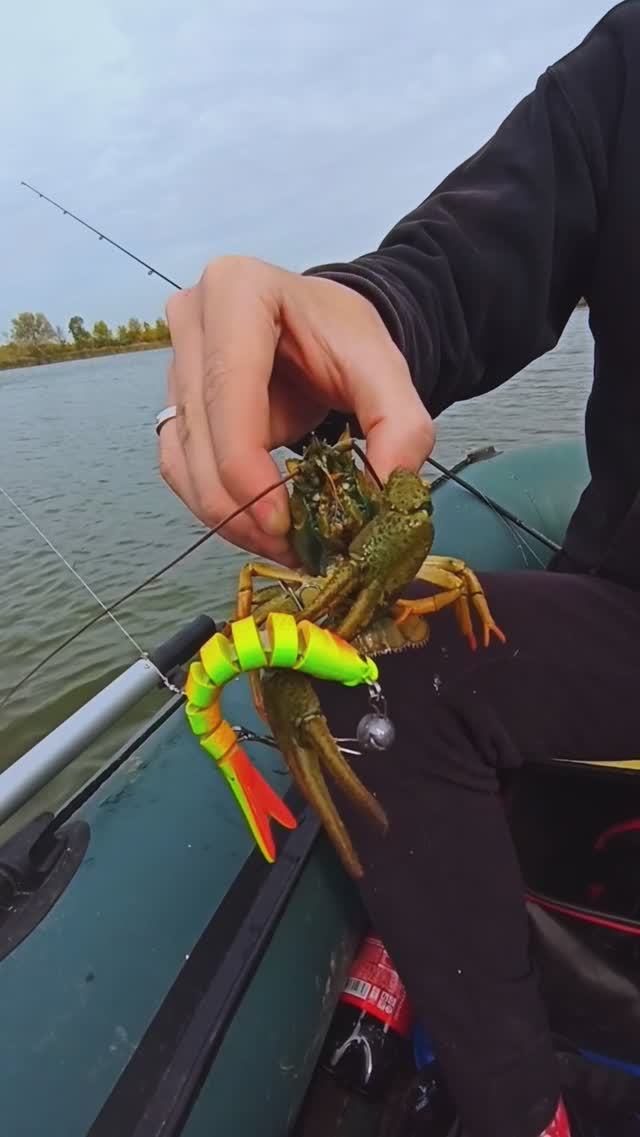 Щучий дикарь  Шнуры цеплялись за #спиннинг но реже чем раки  #shorts #fishing