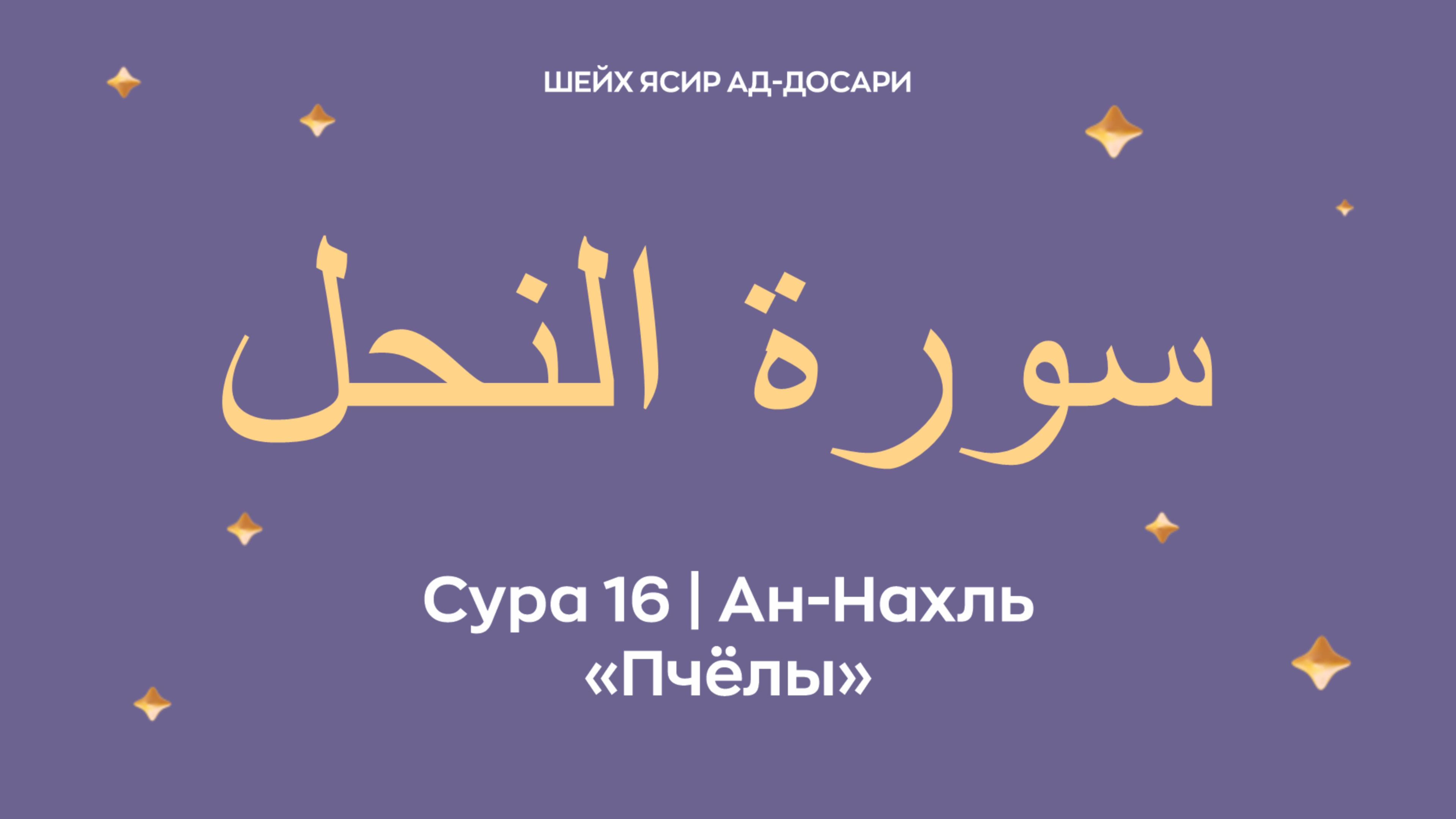 Сура 16 Ан-Нахль  — Пчёлы (араб. سورة النحل). Читает Шейх Ясир ад-Досари.