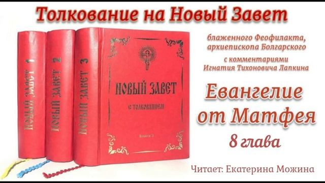 Евангелие от Матфея 8 глава