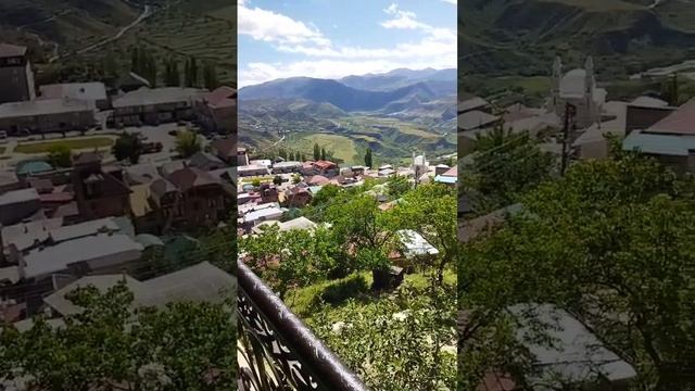 ОБАЛДЕННЫЕ ВИДЫ | ГУНИБ #дагестан