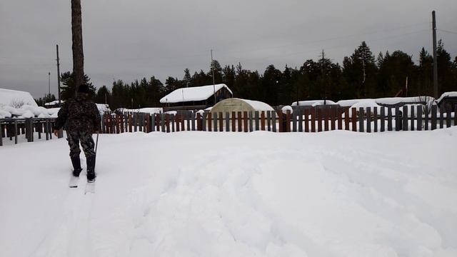 снегоступы против охотничьих лыж