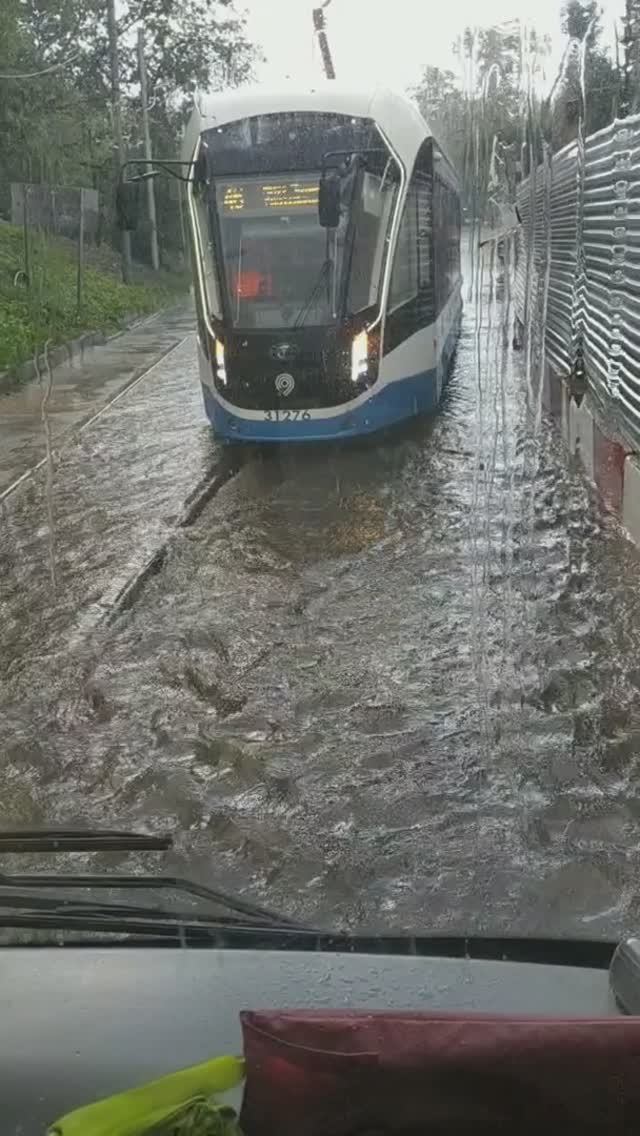 В чем дело, сразу не поймёшь, —
А просто летний дождь прошёл,
Нормальный летний дождь.